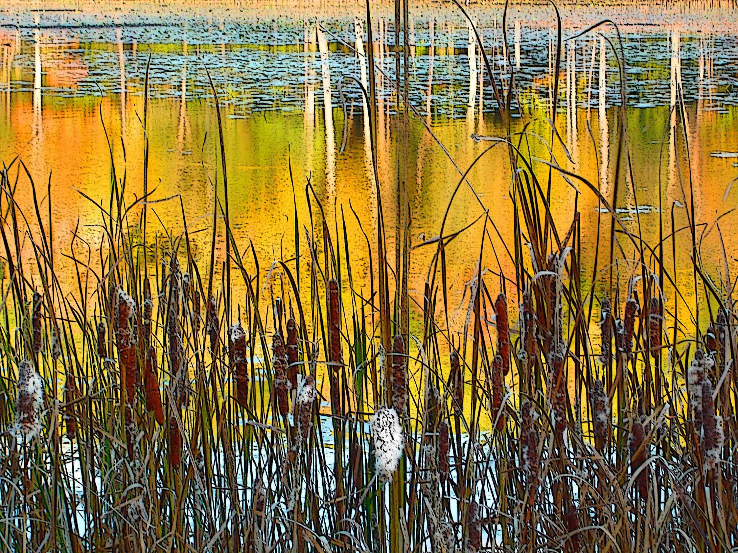 New Frontiers in Pop Art Opens July 12 – Lauren Clark Fine Art