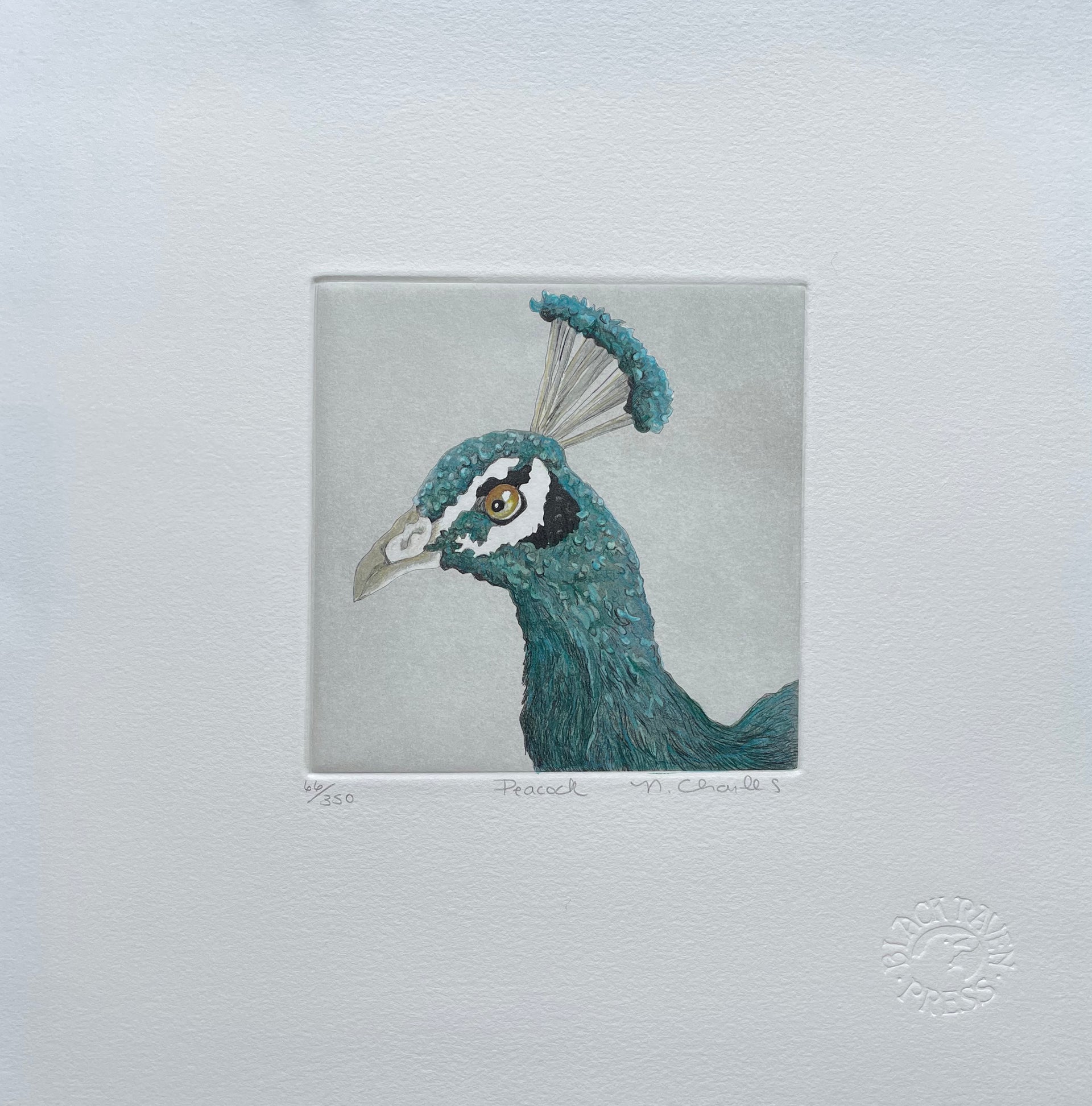 Artists – Lauren Clark Fine Art