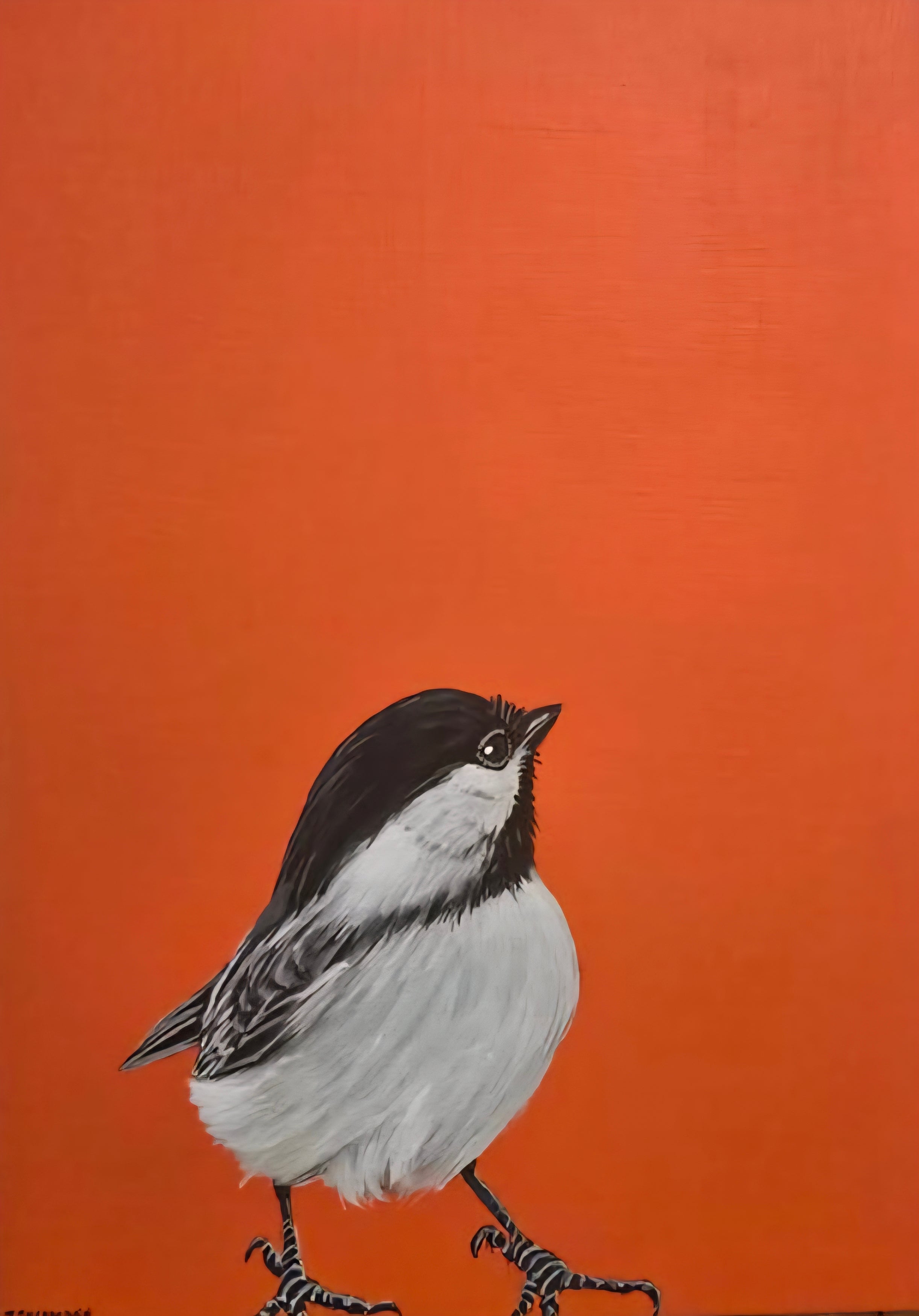 Black Capped Chickadee/Cadmium Orange – Lauren Clark Fine Art