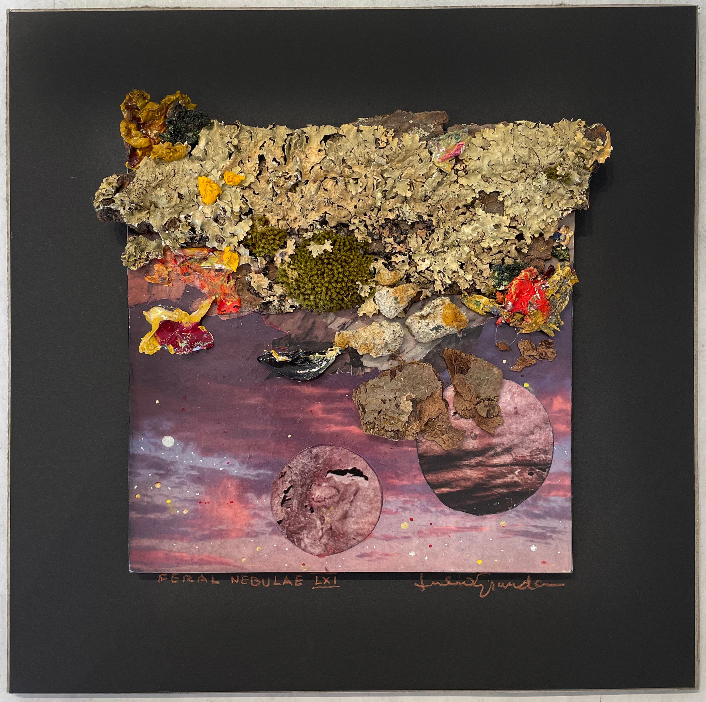 Feral Nebulae LXI – Lauren Clark Fine Art